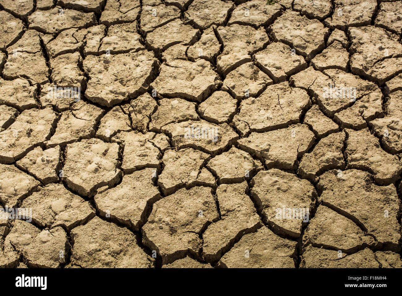 Cracked ground drought hi-res stock photography and images - Alamy