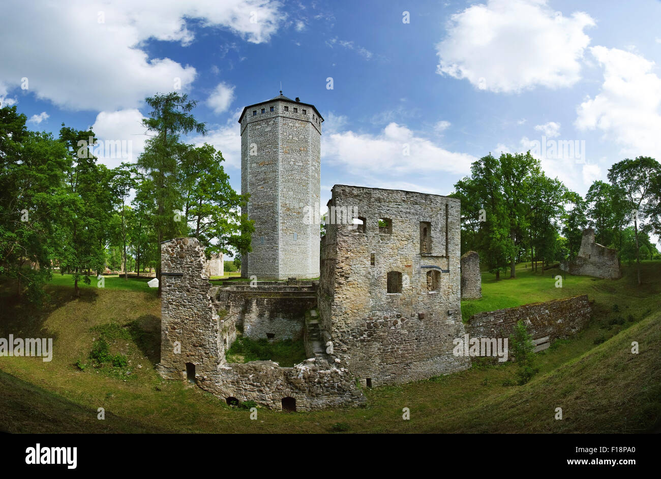 Castle ruins and tower at Paide Stock Photo - Alamy