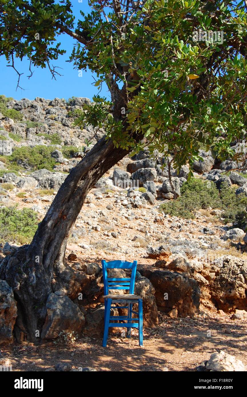 Seating under a tree hi-res stock photography and images - Alamy