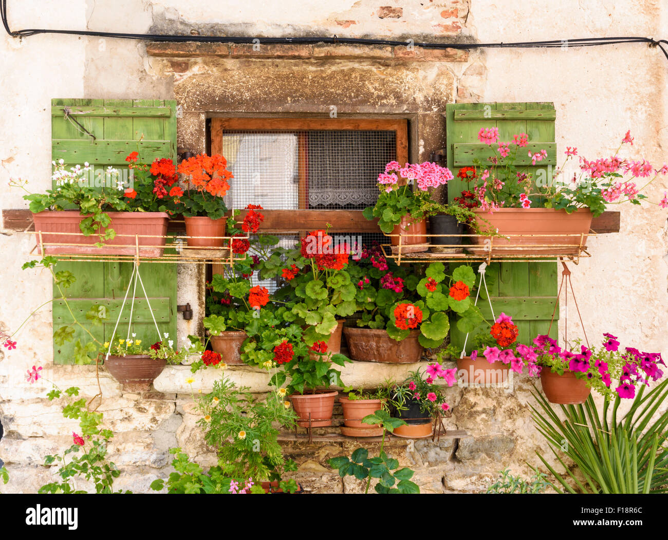 Old house window decorated flower hi-res stock photography and images ...
