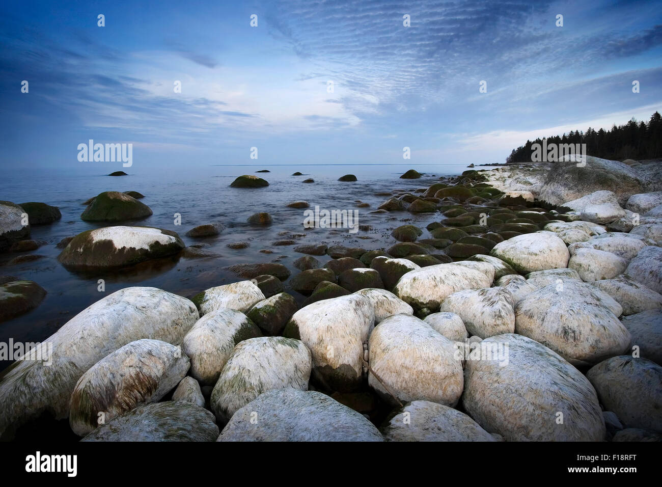 White salty rocks Stock Photo - Alamy