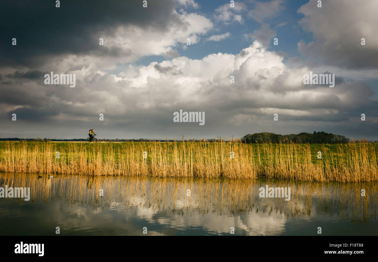 Cyclist on the bank of the river Hull on a bright sunny day heading ...
