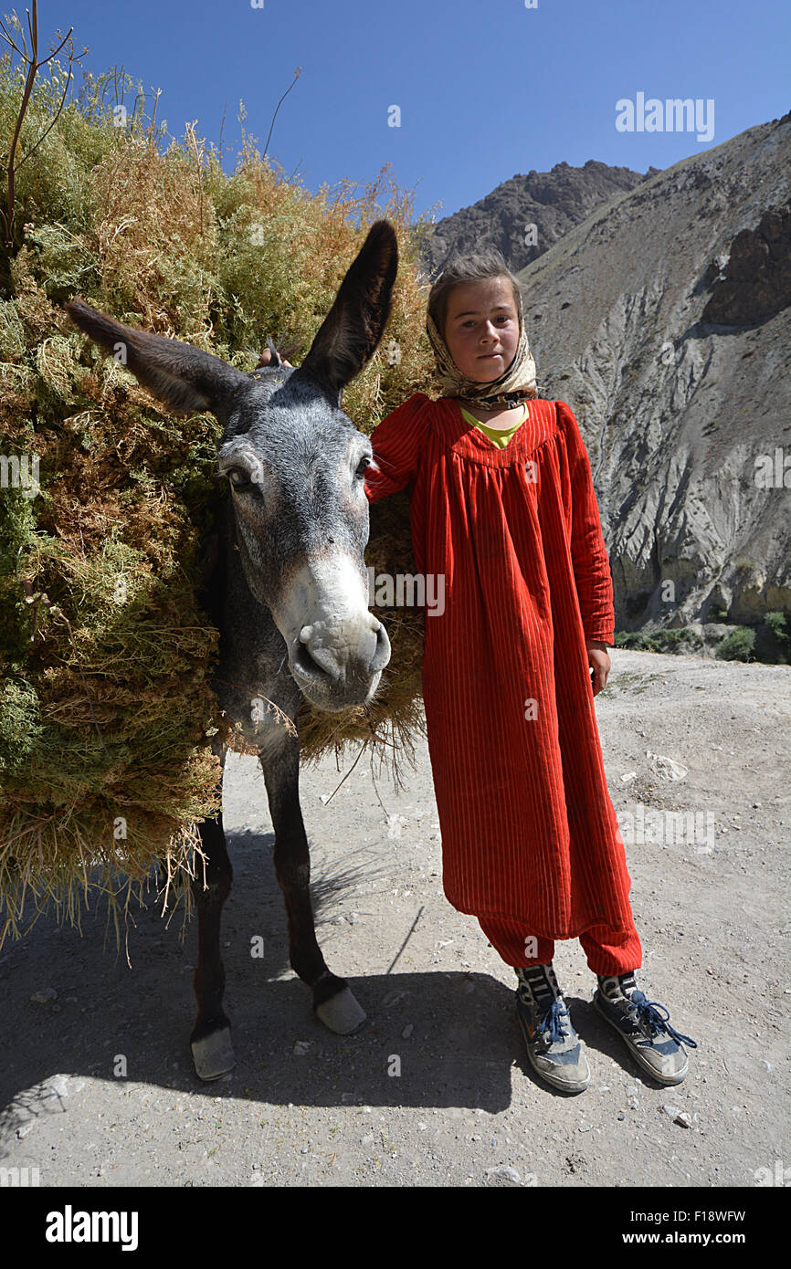Donkey carrying load from harvest. Tajikistan Collection Stock Photo ...