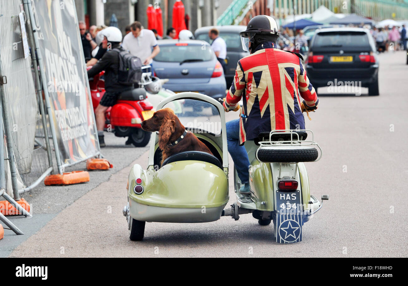 Mod scooter 1960s hi-res stock photography and images - Alamy