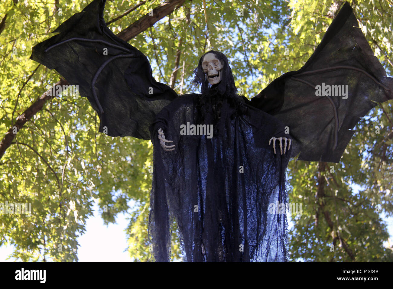 Bat skeleton hi-res stock photography and images - Alamy
