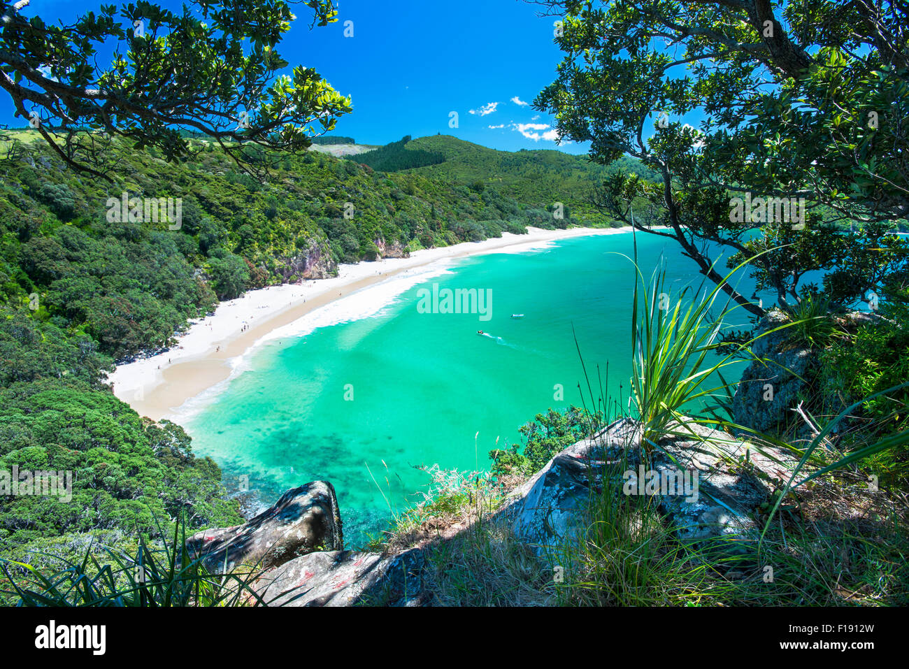 Chums bay hi-res stock photography and images - Alamy