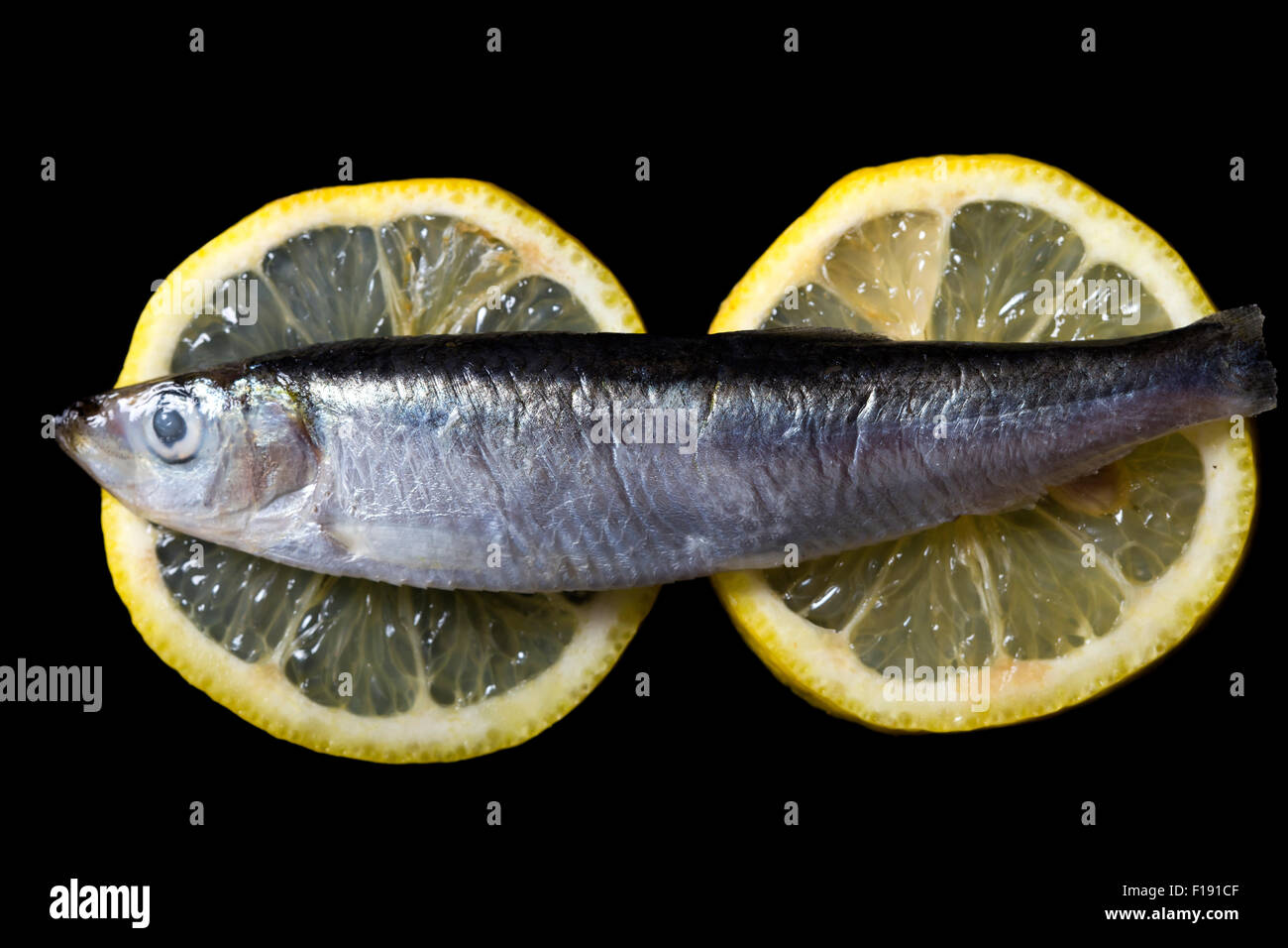 Sprat hi-res stock photography and images - Alamy