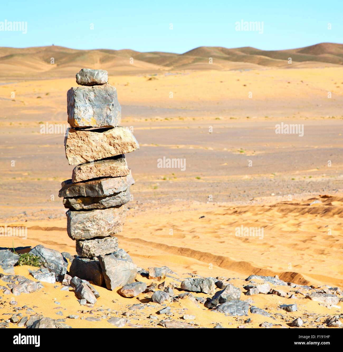 old fossil in the desert of morocco sahara and rock stone sky Stock ...