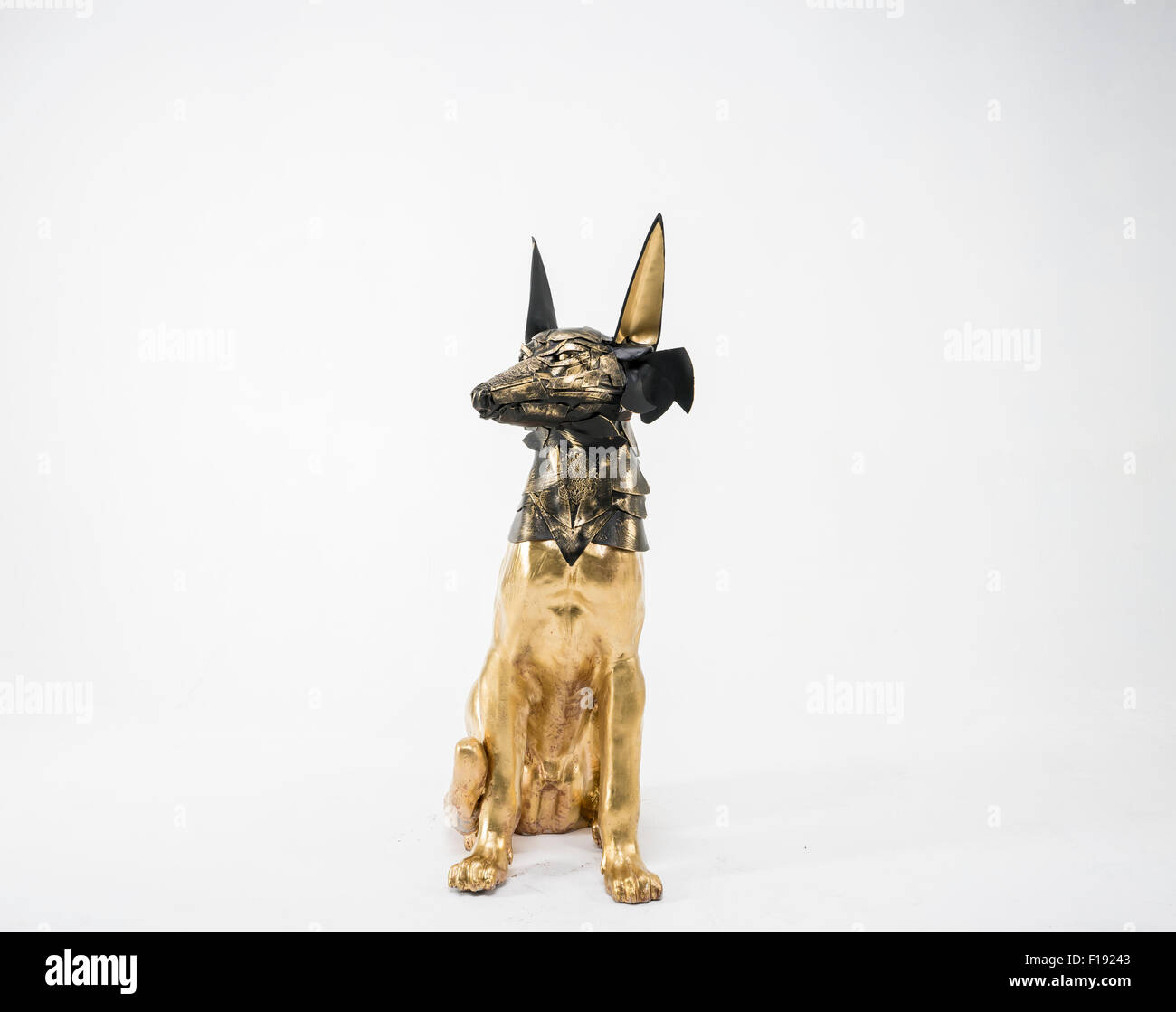 sculpture of the Egyptian god Anubis, gold figure and black jackal ...