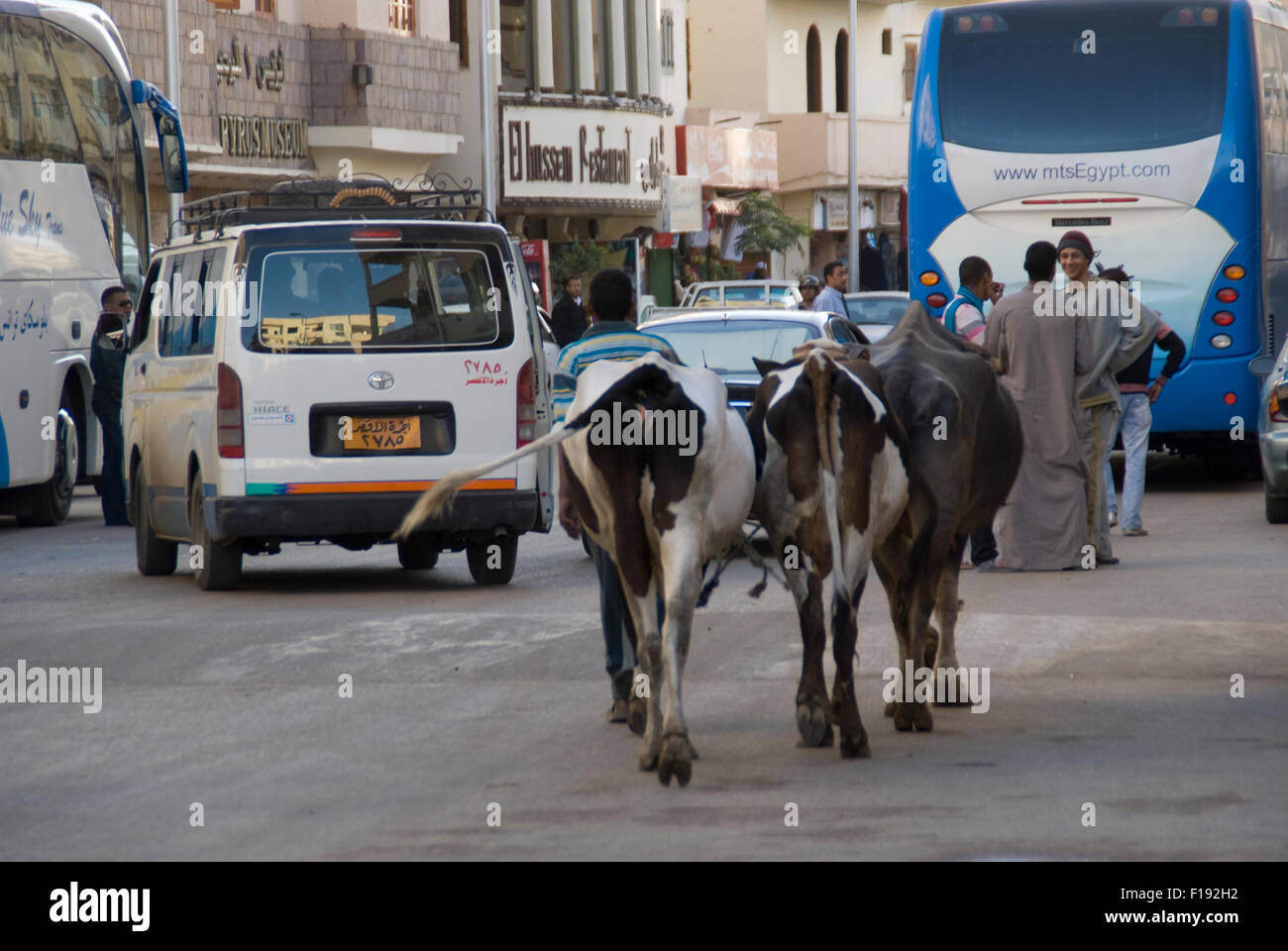 Luxor people hi-res stock photography and images - Alamy