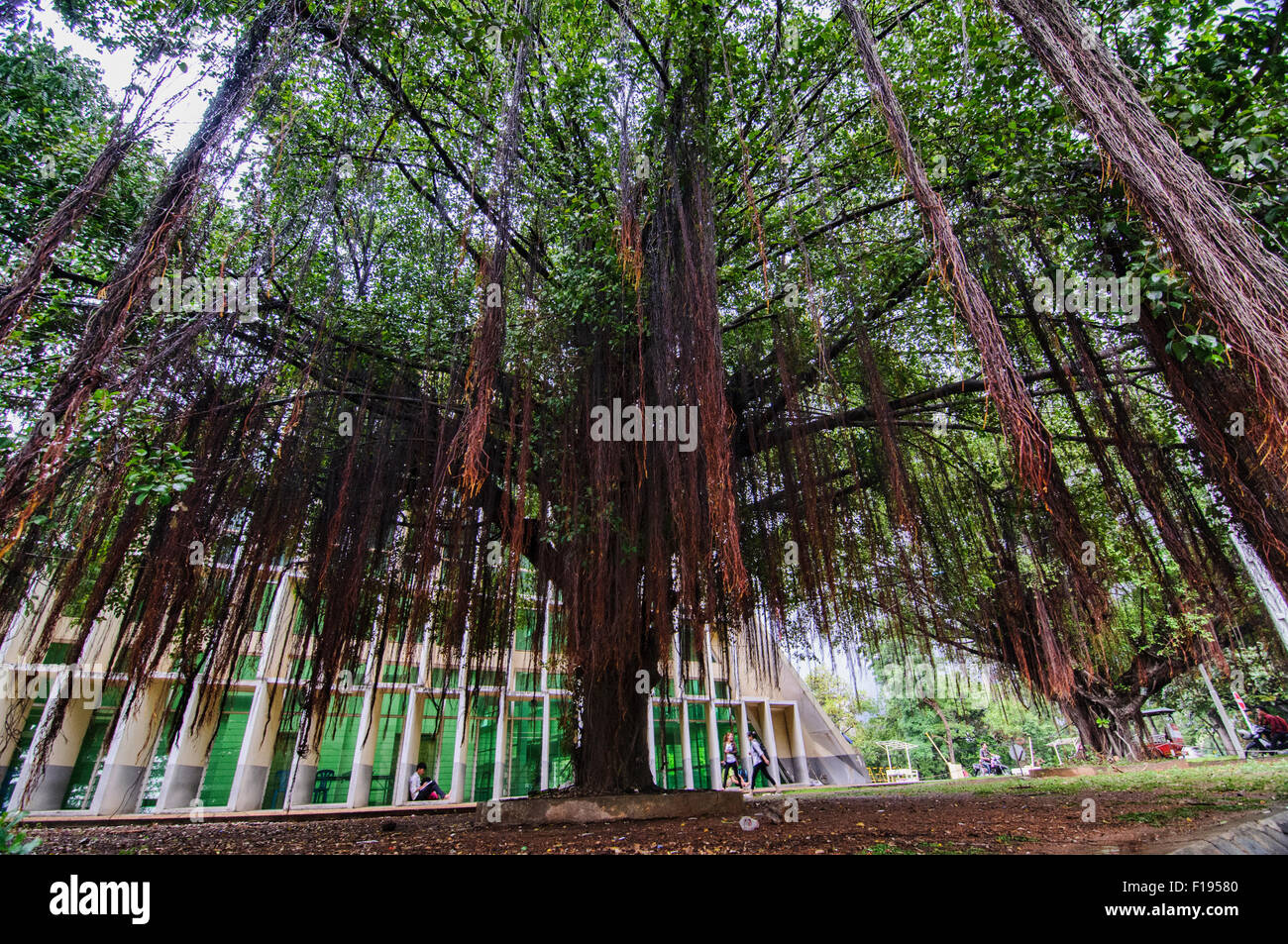 Cambodia language hi-res stock photography and images - Alamy