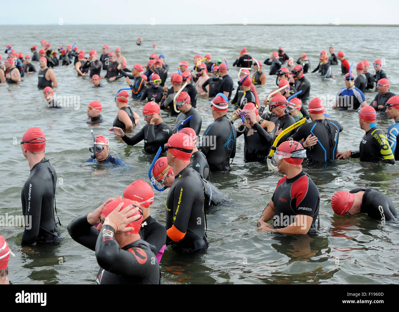 Hilgenriedersiel, Germany. 30th Aug, 2015. Hundreds of swimmers wait to start the 27th island ...