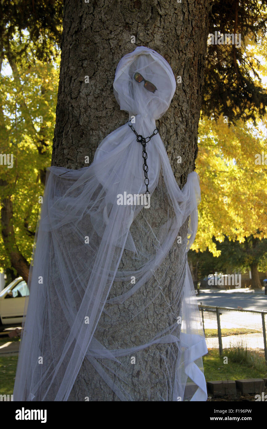 Chained to tree hi-res stock photography and images - Alamy