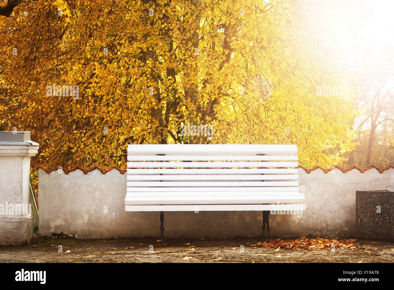 Bench in autumn with lots of sunshine Stock Photo - Alamy