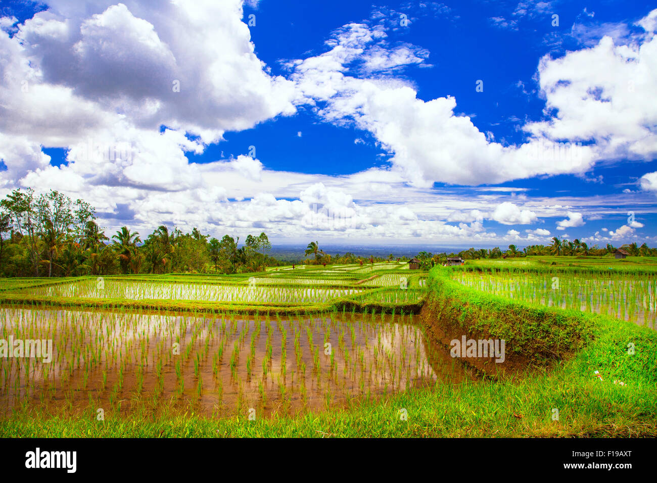 Impressive landscape of Bali Indonesia,panoramic view Stock Photo - Alamy