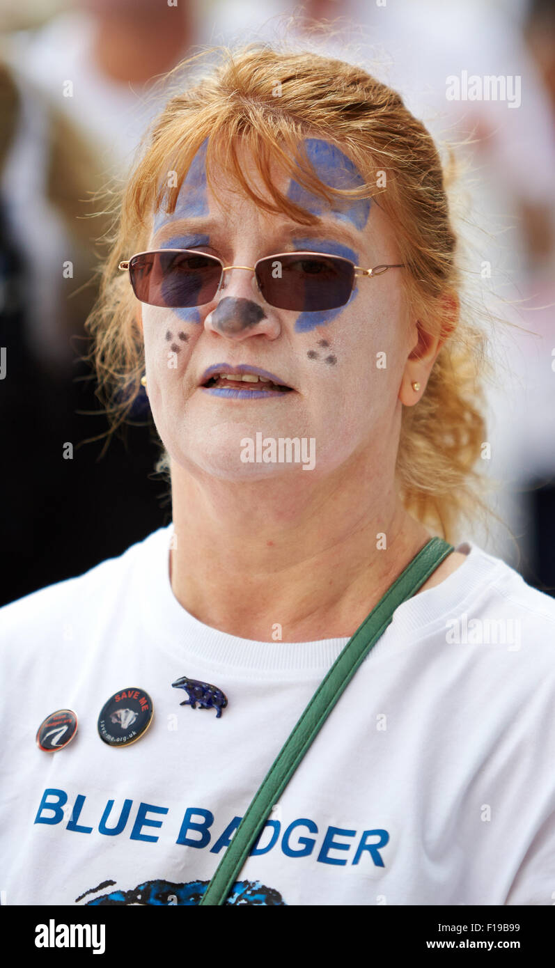 Badger face paint hi-res stock photography and images - Alamy