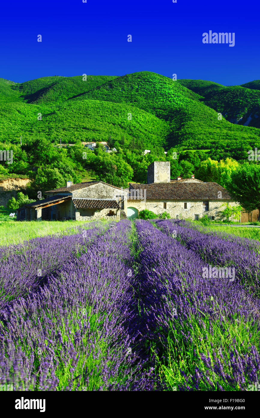 Colorful vineyards and cathedral in Provence,France Stock Photo - Alamy