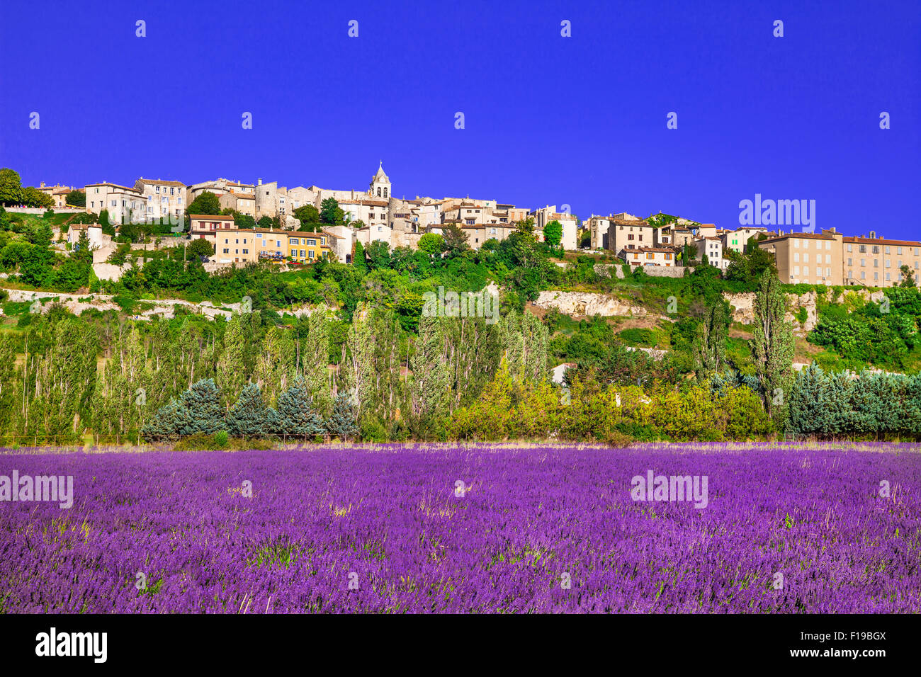 Impressive Sault village,view with lavander fields,Provence,France ...