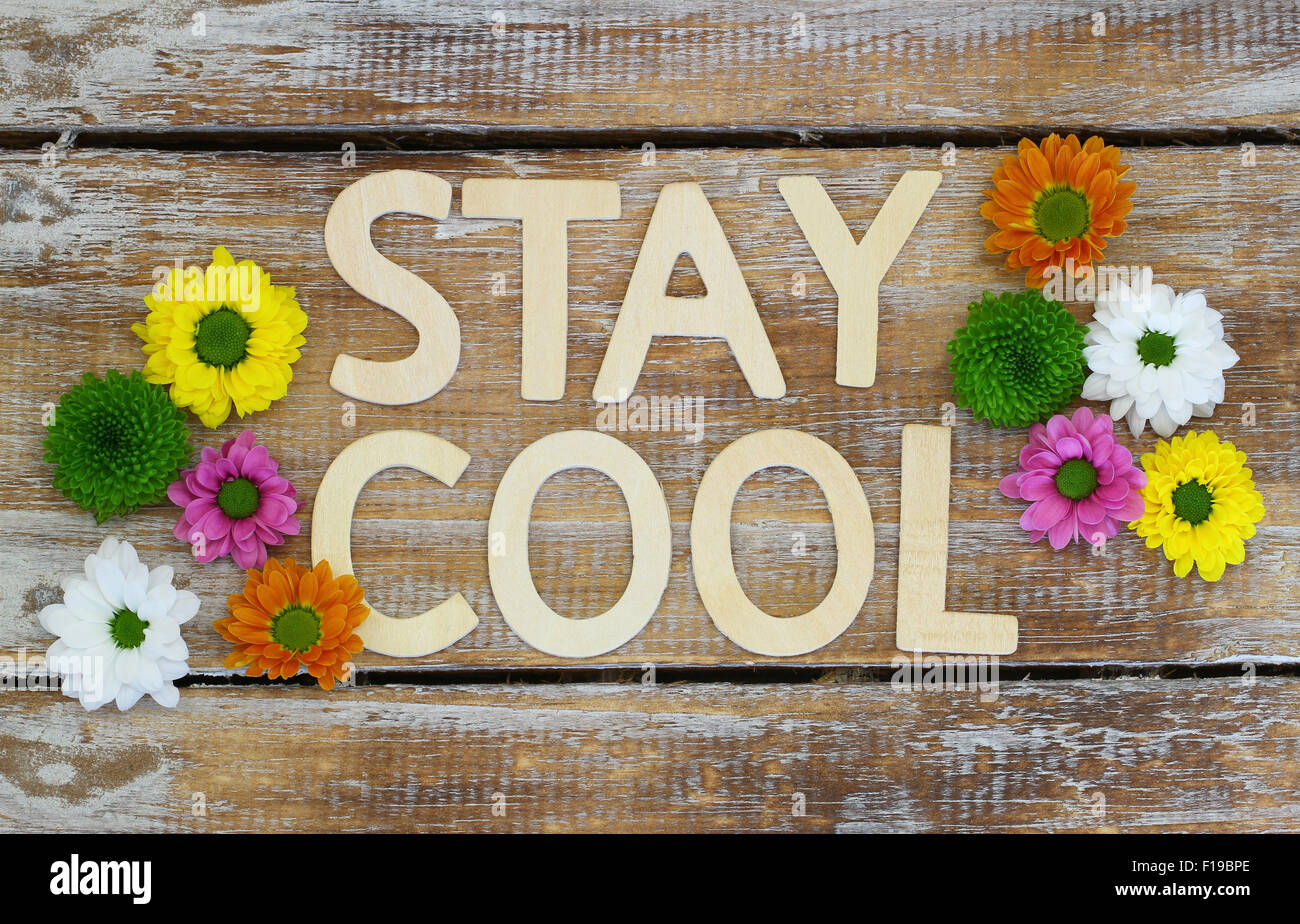 Stay cool written with wooden letters and Santini flowers Stock Photo ...