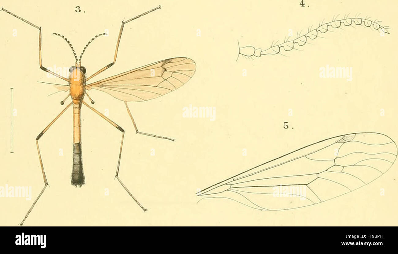 Educational patterns hi-res stock photography and images - Alamy