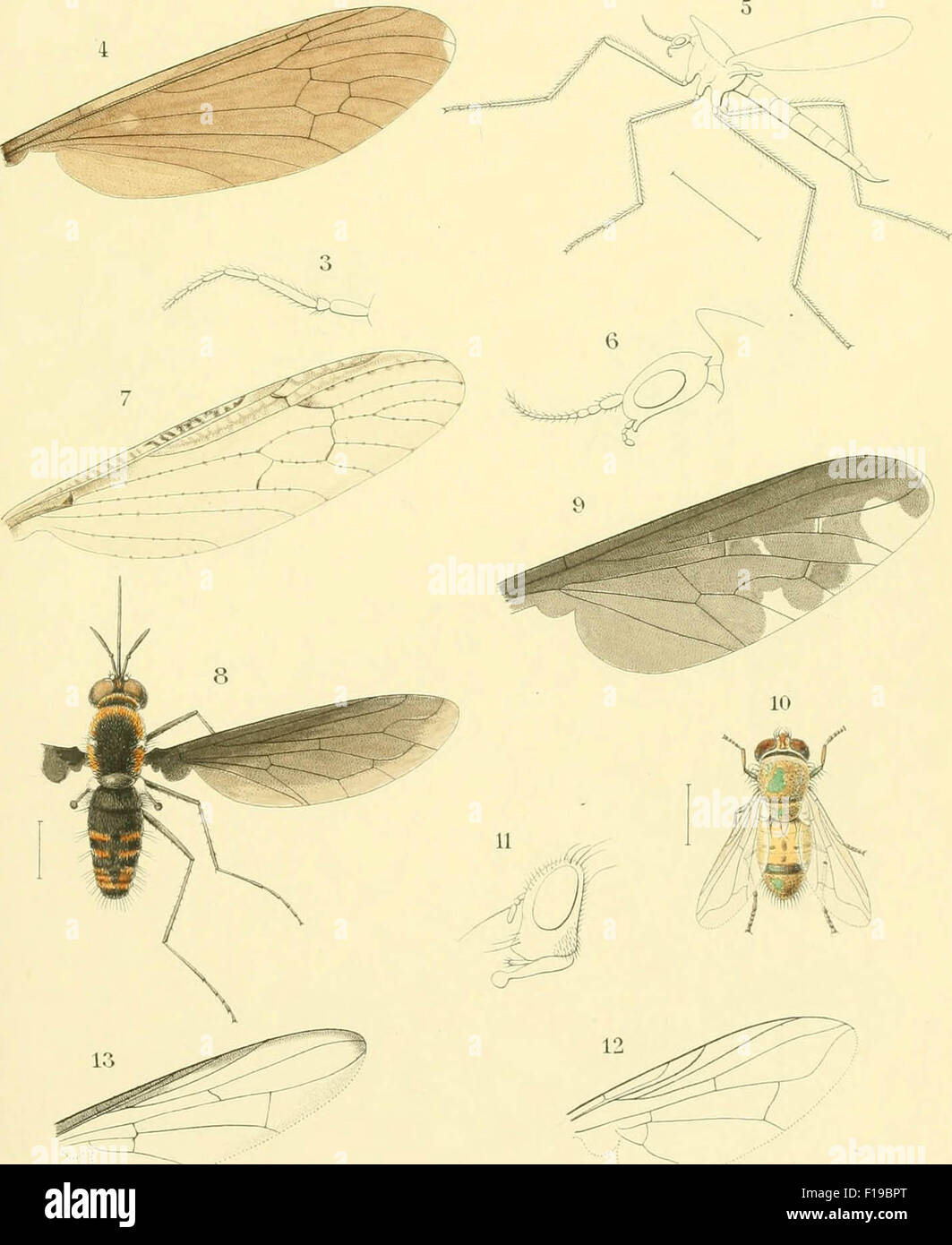 Educational patterns hi-res stock photography and images - Alamy