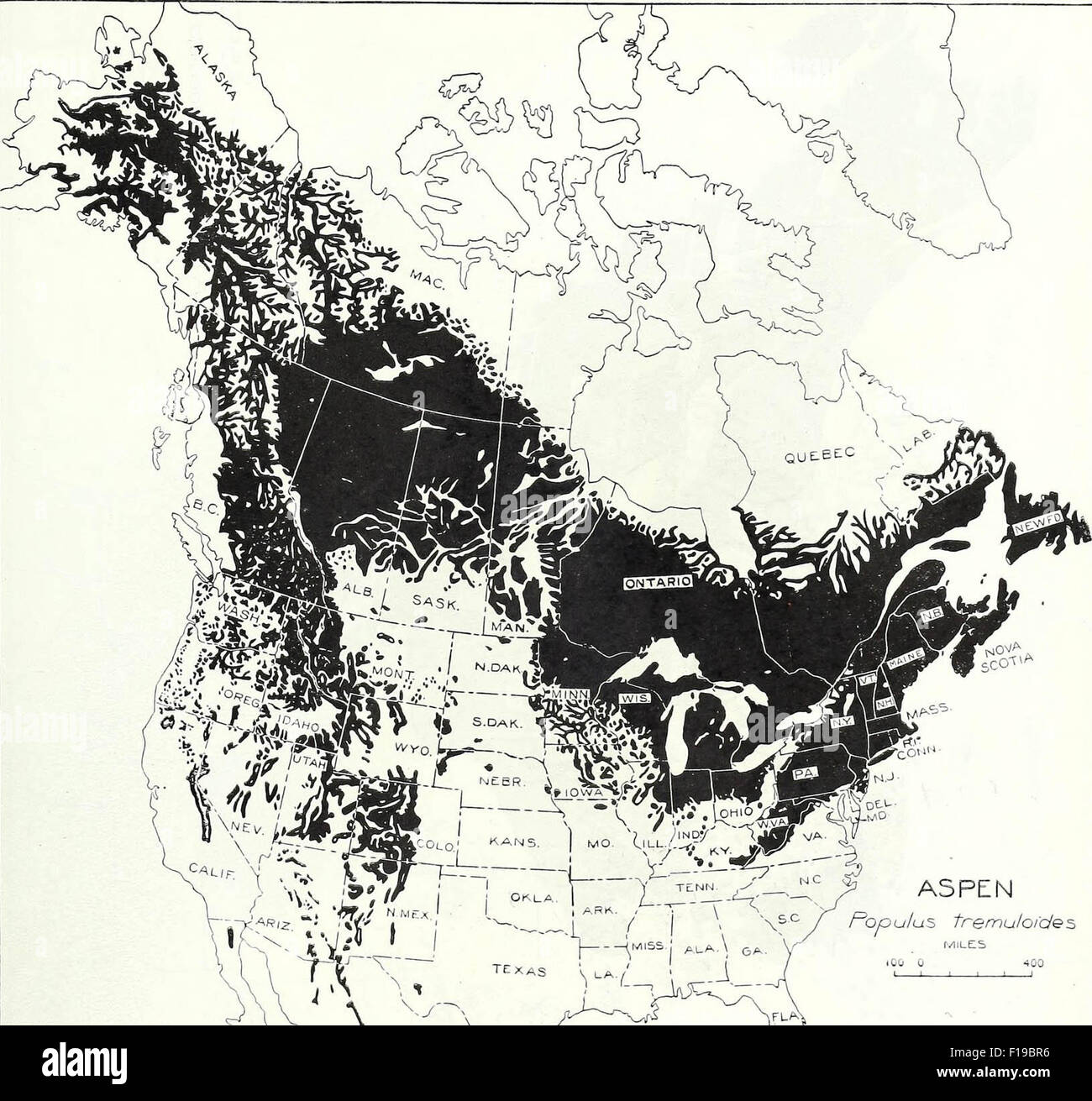 American map hi-res stock photography and images - Alamy