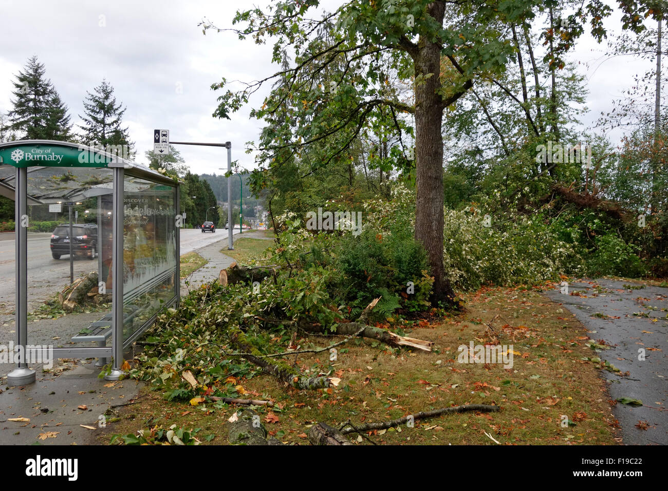 Canadian bus shelter hi-res stock photography and images - Alamy