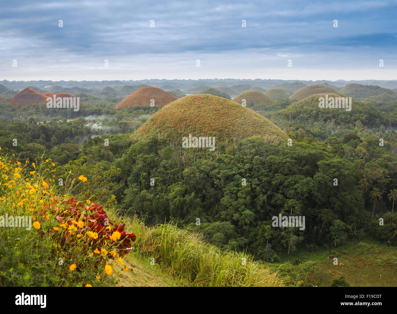 View of the Chocolate Hills in Bohol, Philippines Stock Photo - Alamy