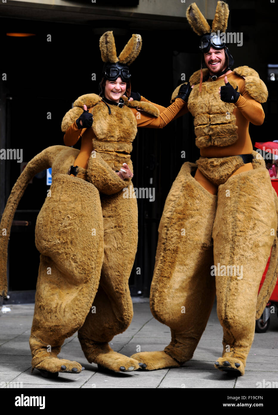 Happy kangaroos hi-res stock photography and images - Alamy