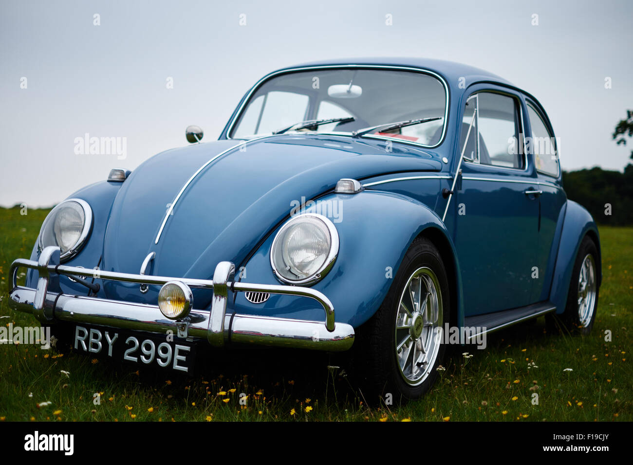 Old Vw Beetle High Resolution Stock Photography and Images - Alamy