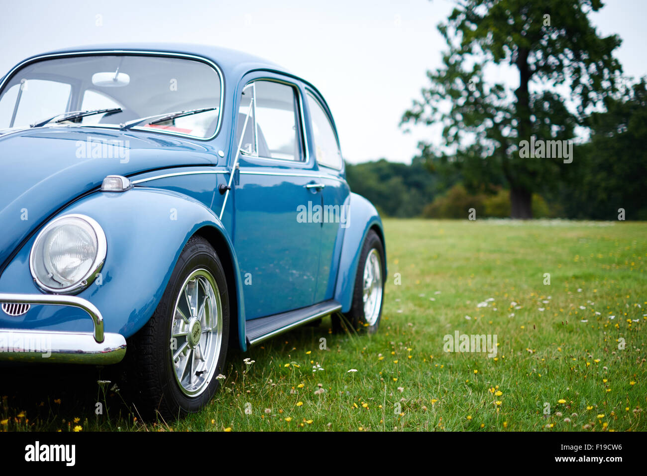 Blue Beetle Car High Resolution Stock Photography and Images - Alamy