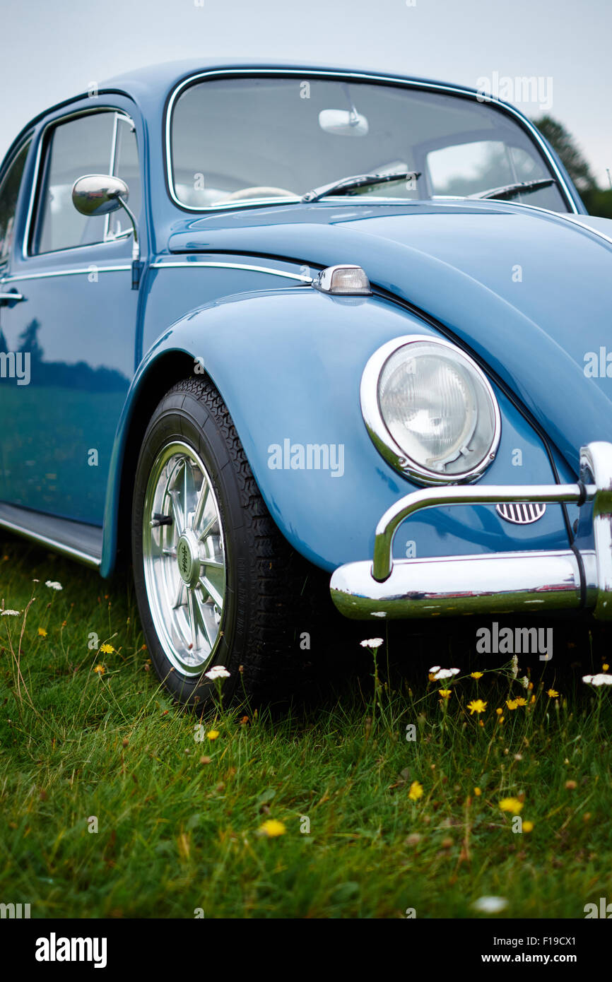 Vintage blue Volkswagen VW Beetle car in a field of grass and flowers ...