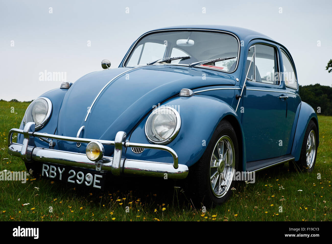 Vw Volkswagen Beetle Stock Photos & Vw Volkswagen Beetle Stock Images ...