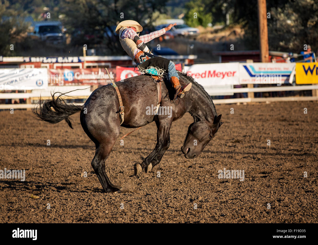 Bareback bronc riding hi-res stock photography and images - Alamy