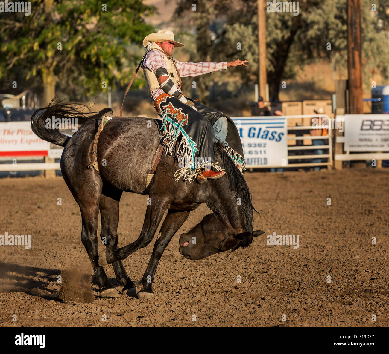 Bareback bronc riding hi-res stock photography and images - Alamy