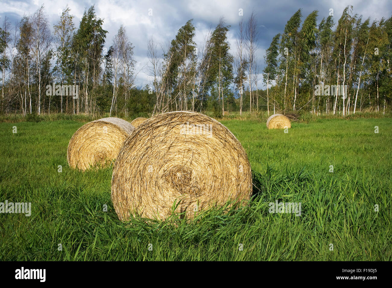 Agricultural field round grass hi-res stock photography and images - Alamy