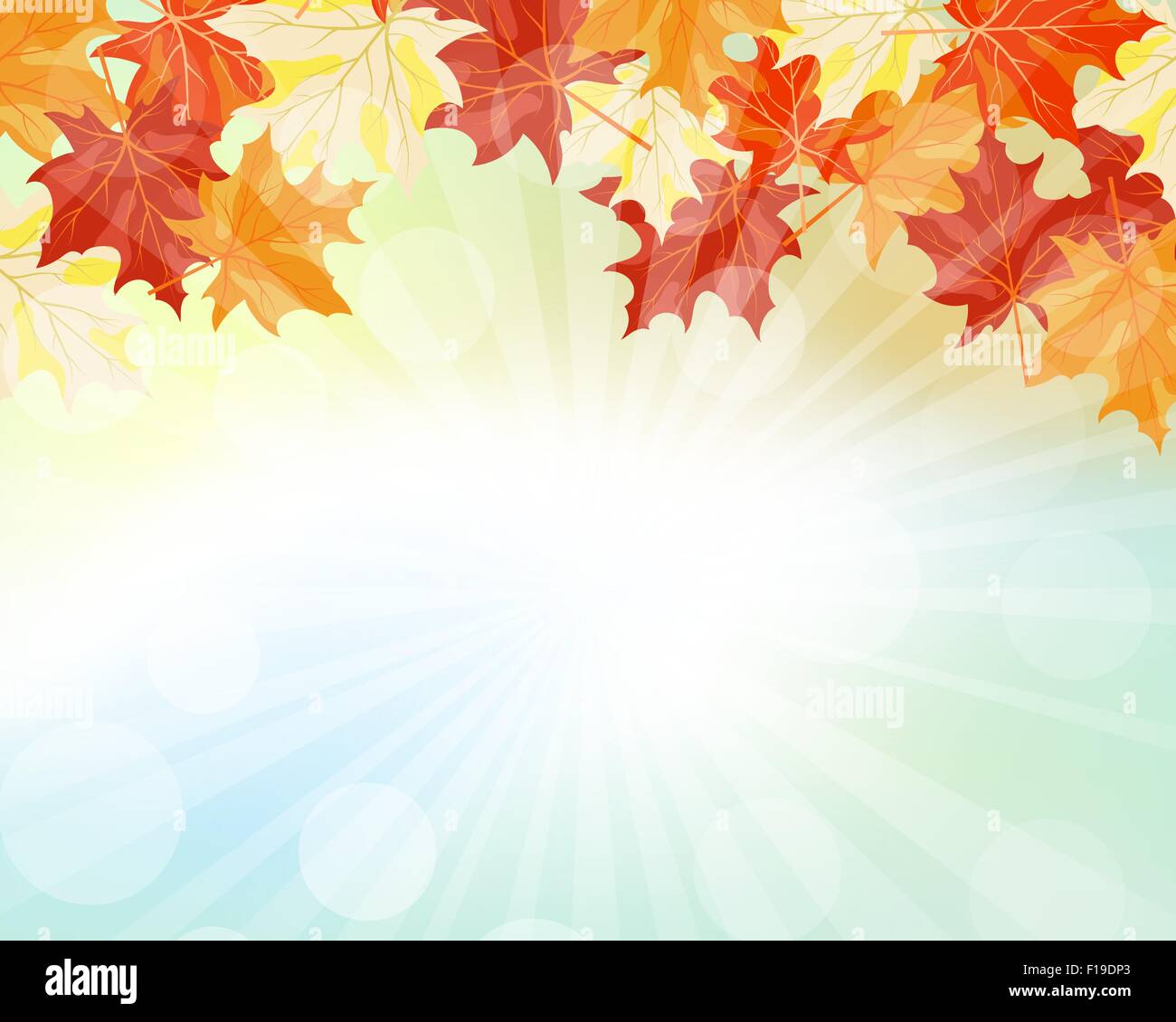 Autumn Frame With Falling Maple Leaves on Sky Background. Elegant ...