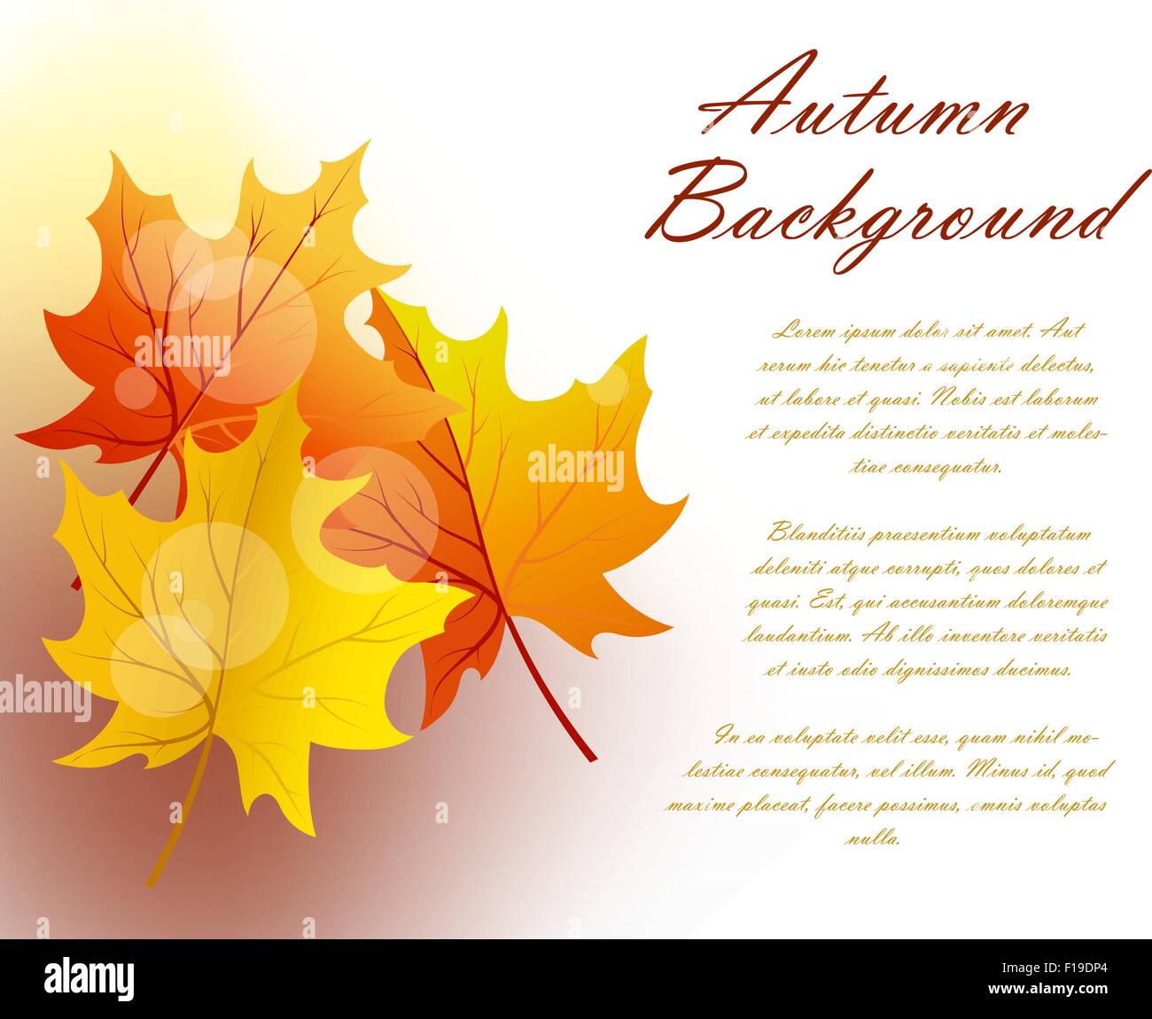 Autumn Frame With Falling Maple Leaves on White Background. Elegant ...