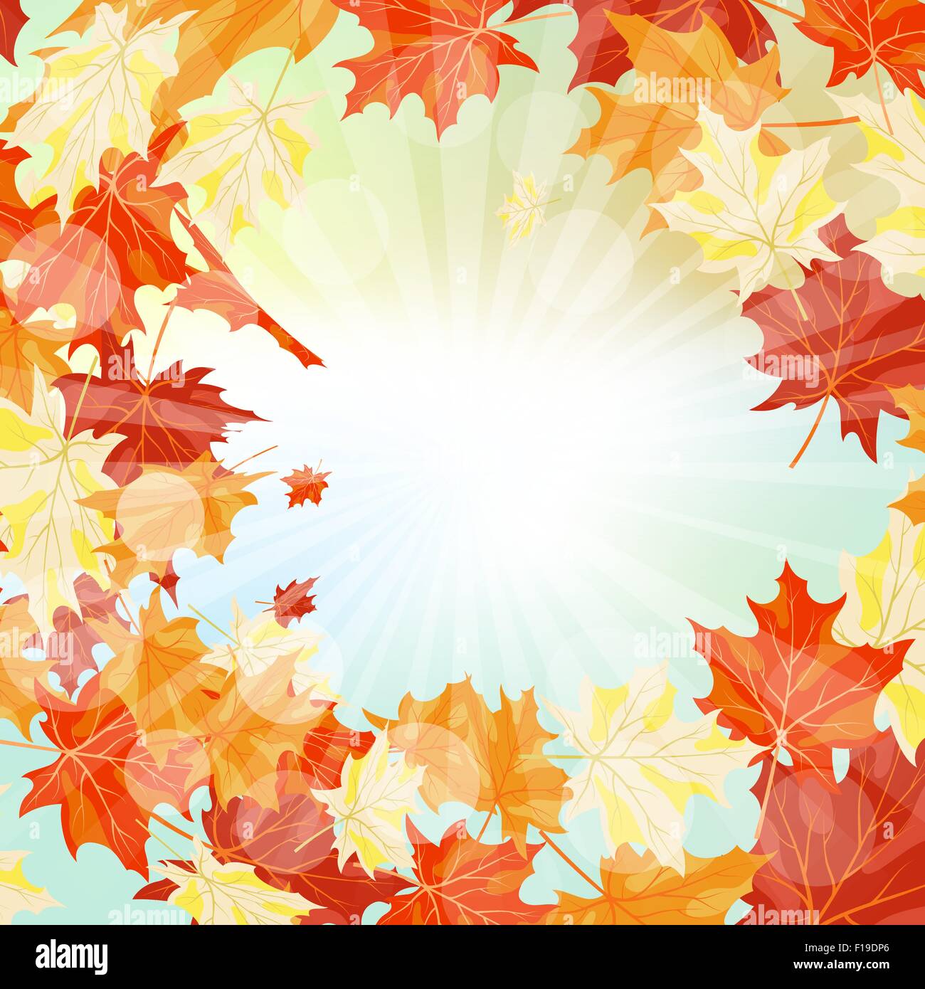 Autumn Frame With Falling Maple Leaves on Sky Background. Elegant ...