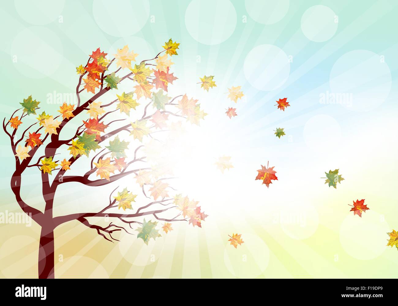 Autumn Frame With Falling Maple Leaves on Sky Background. Elegant ...