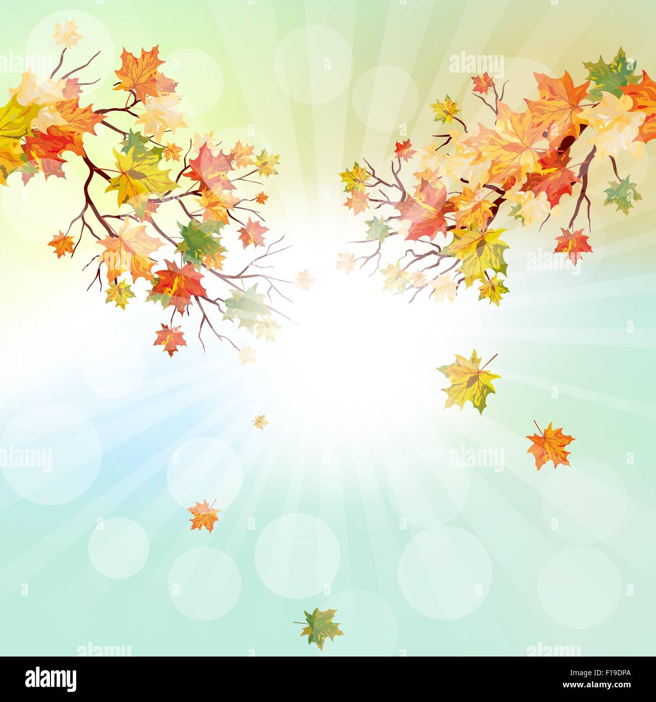 Autumn Frame With Falling Maple Leaves on Sky Background. Elegant ...