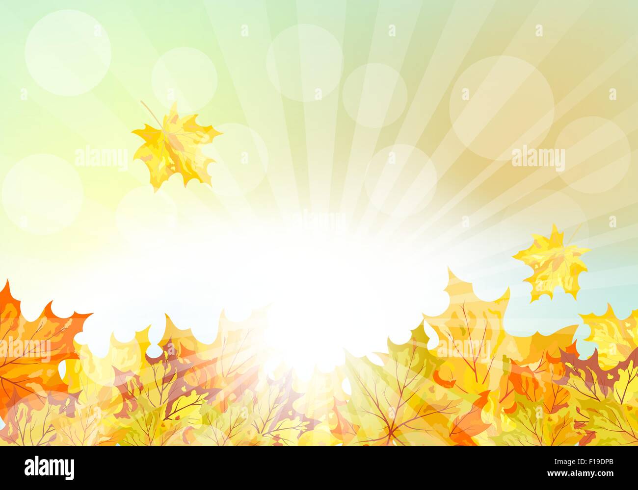 Autumn Frame With Falling Maple Leaves on Sky Background. Elegant ...