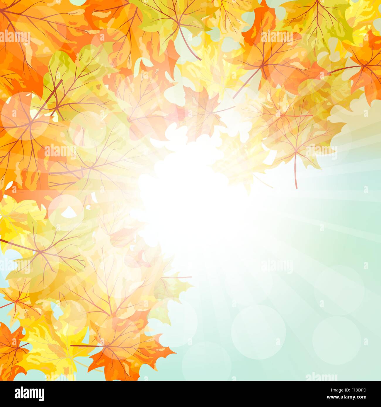 Autumn Frame With Falling Maple Leaves on Sky Background. Elegant ...