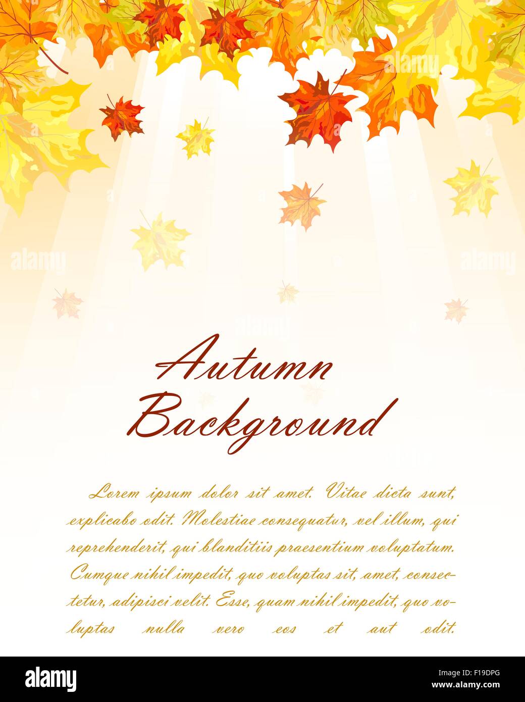 Autumn Frame With Falling Maple Leaves on White Background. Elegant ...