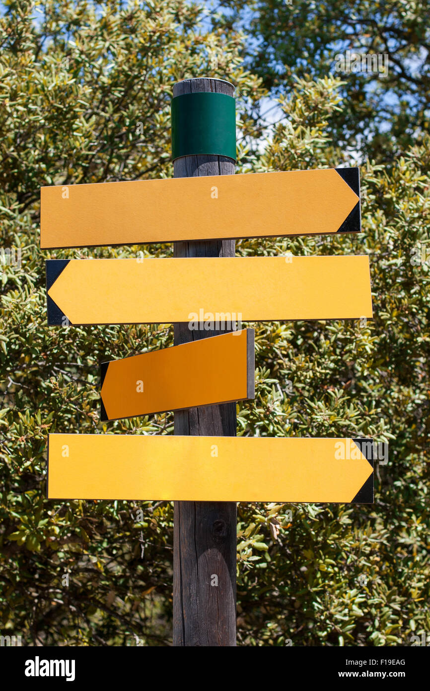 Yellow track pointer on the road in woods sunny summer day Stock Photo ...