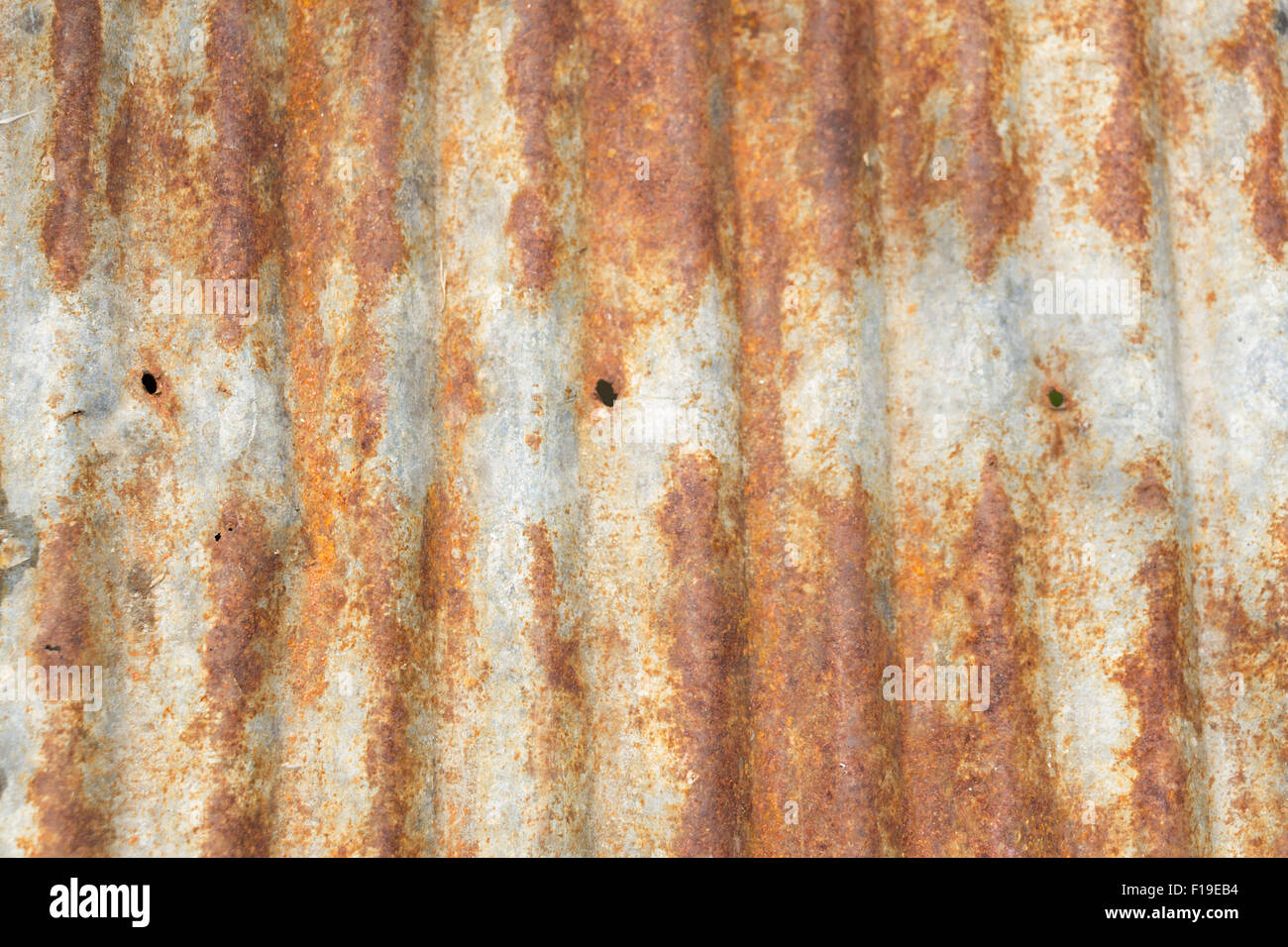 Rusty Corrugated Tin Roof High Resolution Stock Photography and Images ...