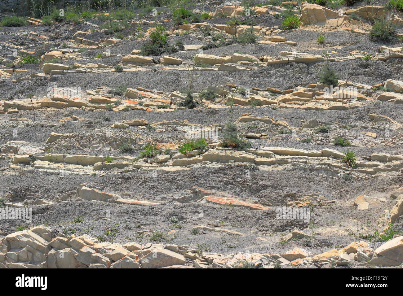 Steep slopes with sparse vegetation and visible layers of rock Stock ...