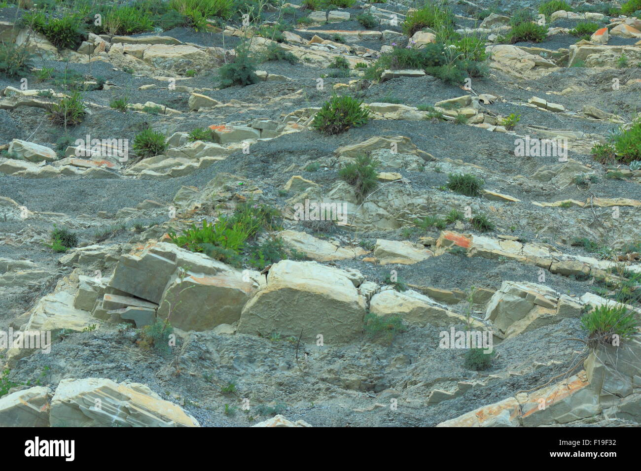 Steep slopes with sparse vegetation and visible layers of rock Stock ...