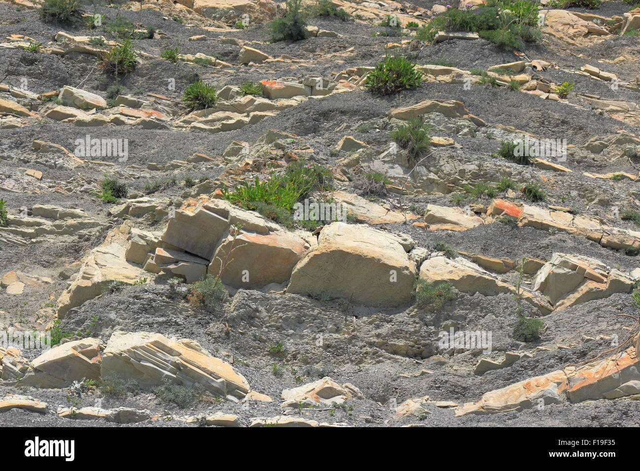Steep slopes with sparse vegetation and visible layers of rock Stock ...