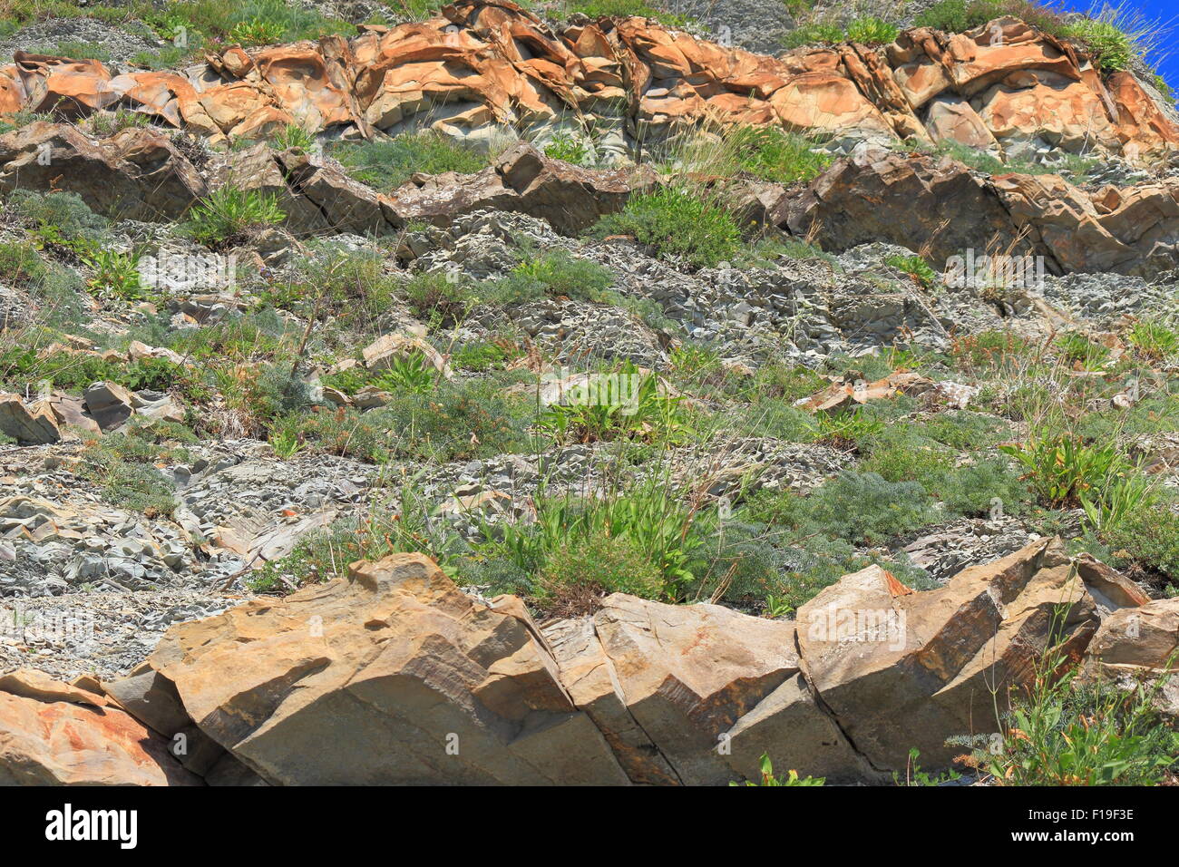 Steep slopes with sparse vegetation and visible layers of rock Stock ...